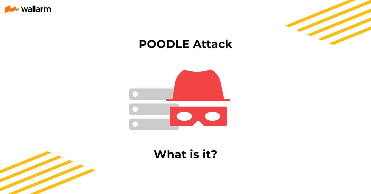 What is the POODLE attack? 🔍 (CVE-2014-3566) Explained.